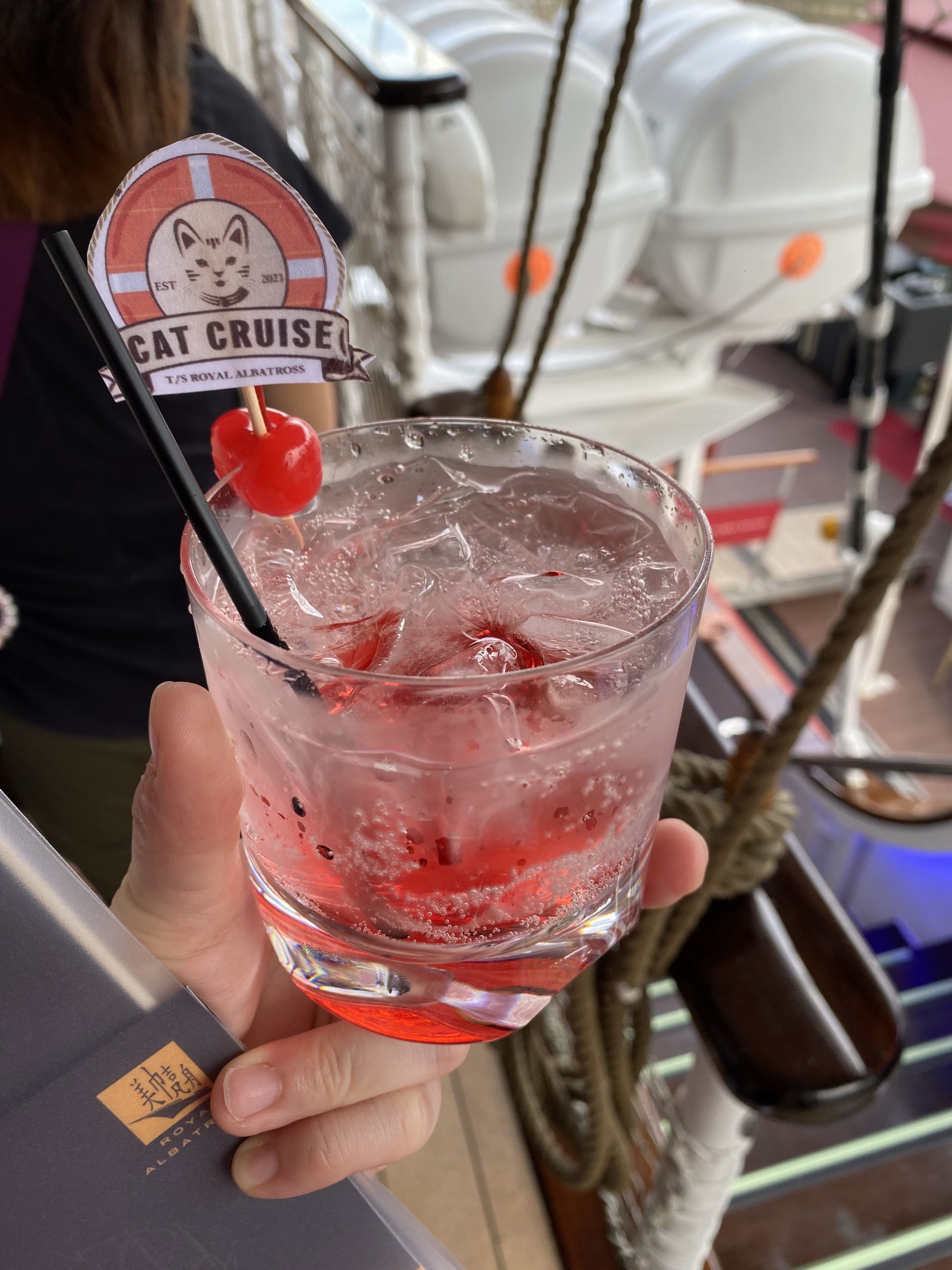 World's first Cat Cruise by the Royal Albatross has guests feline good ...