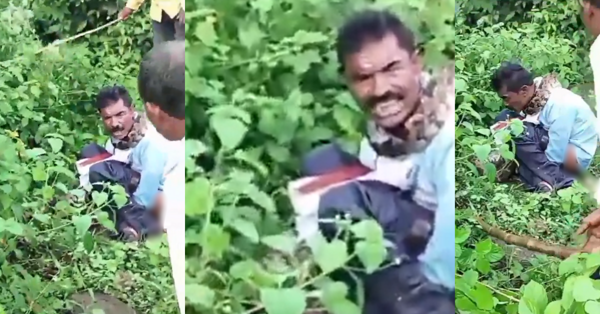 15-Foot Python Attacked A Man While Defecating in the Bushes - Wake Up ...