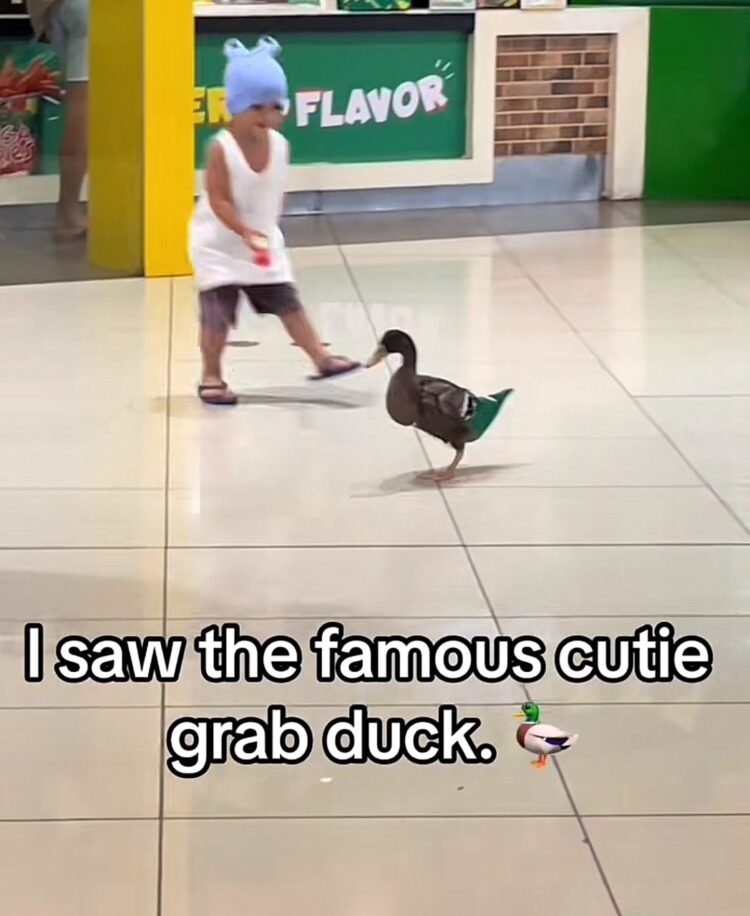 Duck Accompanies Owner on GrabFood Deliveries, Winning the Hearts of ...