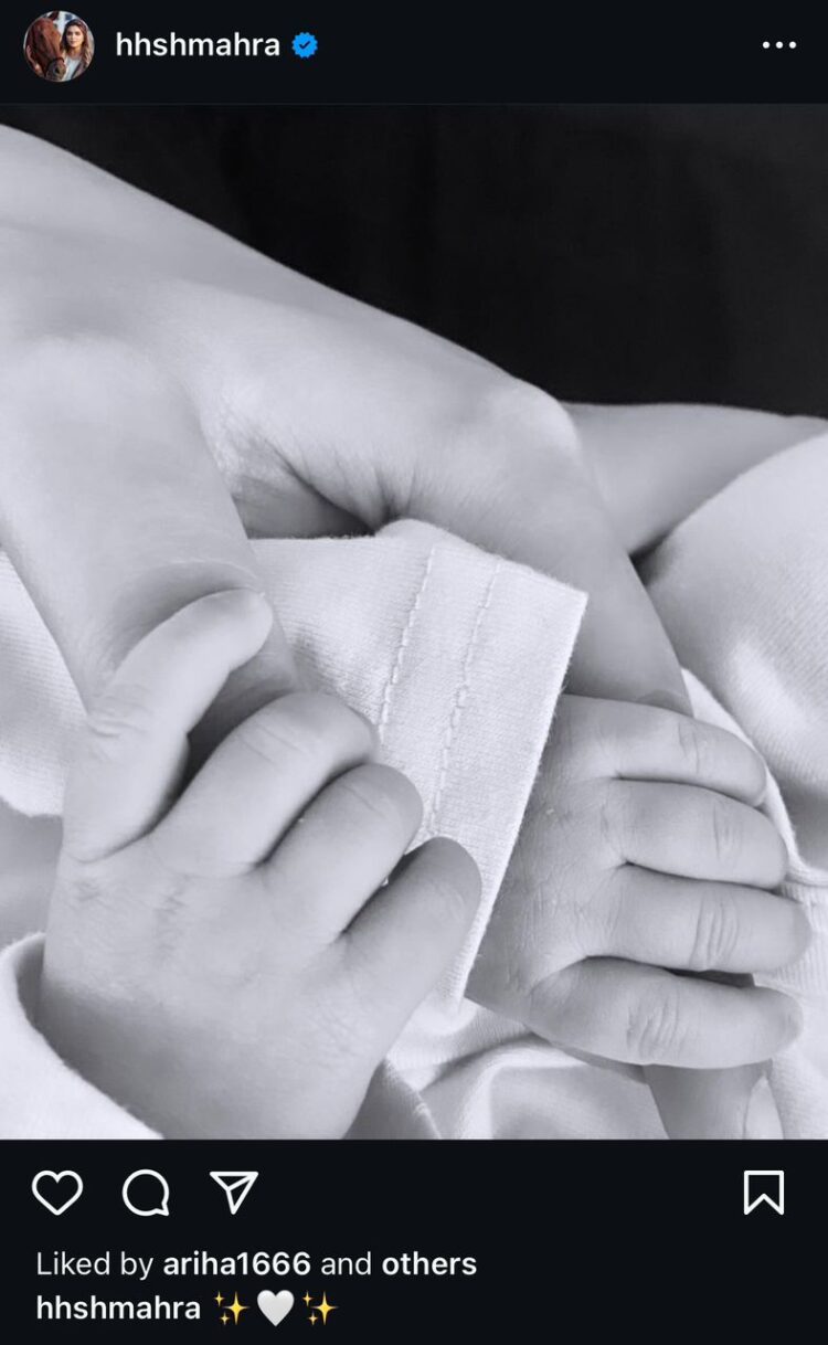 “As you are occupied with other companions, I hereby declare our ...