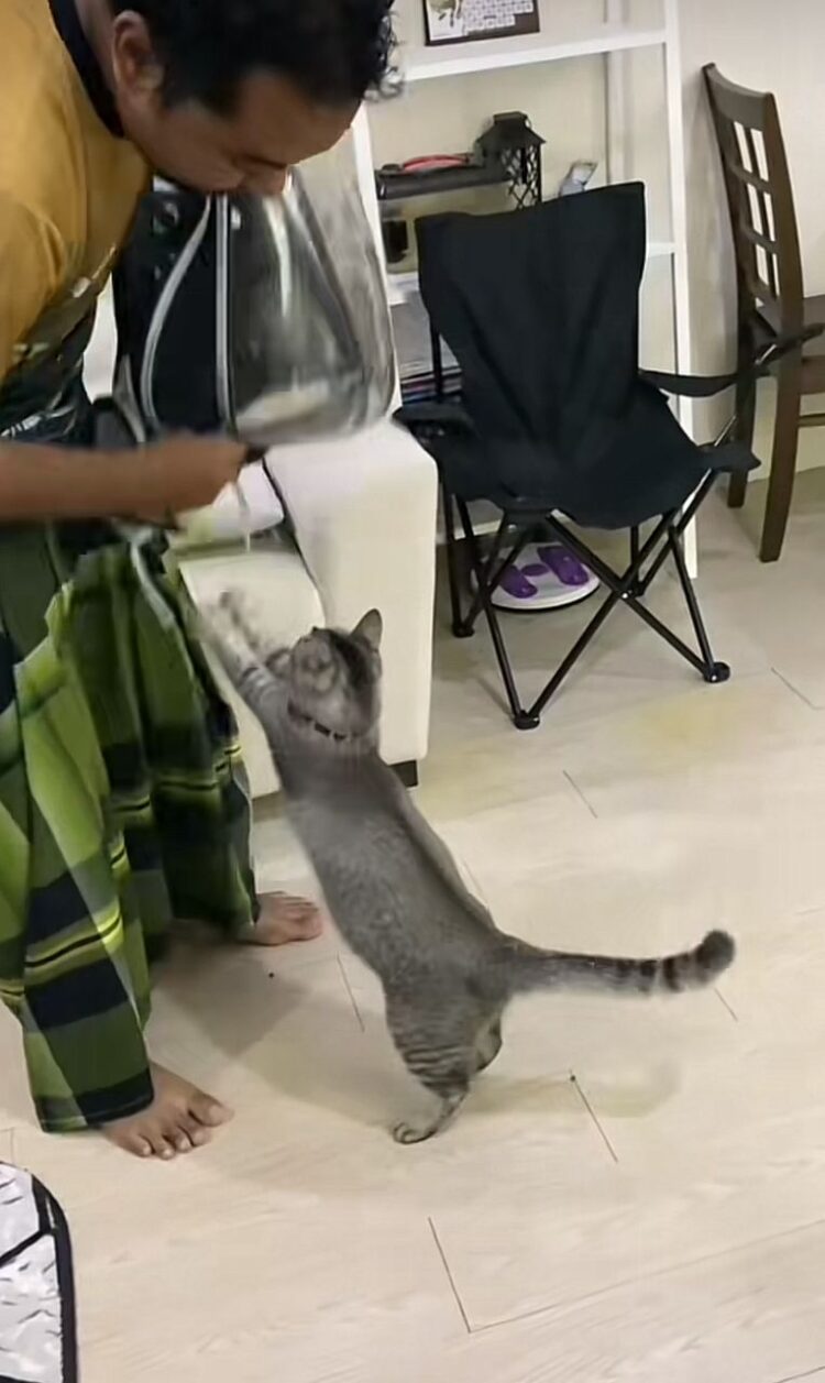 "Be Patient!" – Owner Scolding Furry for Eagerly Jumping into Bag ...