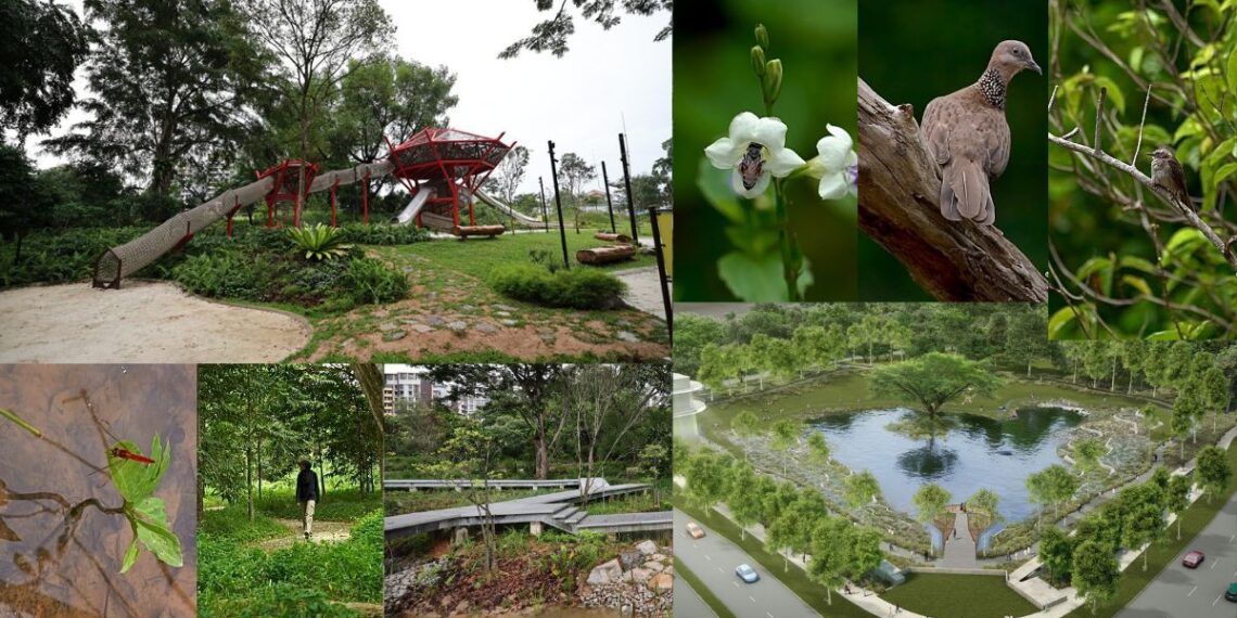 The New Bidadari Park: Bidadari Estate’s Green Lung - Wake Up Singapore