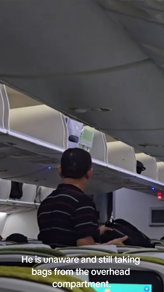 Man Caught Searching Bags on Flight to Singapore, Arrested Before ...