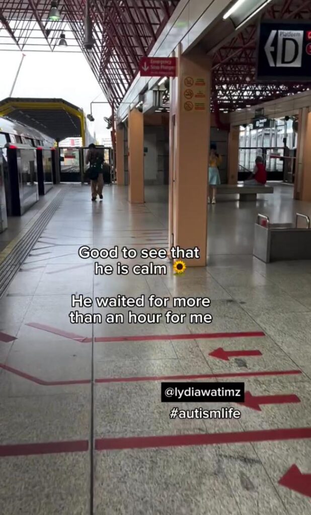 Mum Praises SMRT Staff for Assisting Autistic Son During MRT Breakdown ...