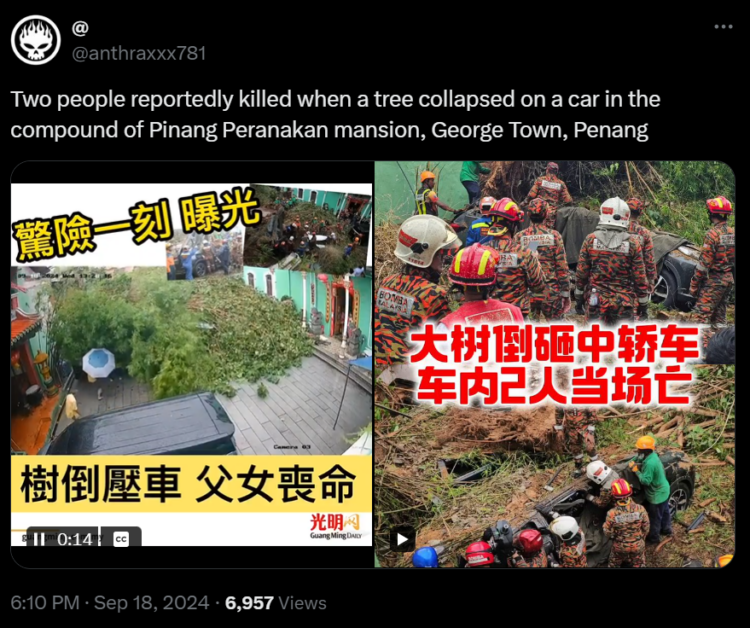 Two Chinese Tourists Killed After Tree Falls on Car in Penang, Malaysia ...