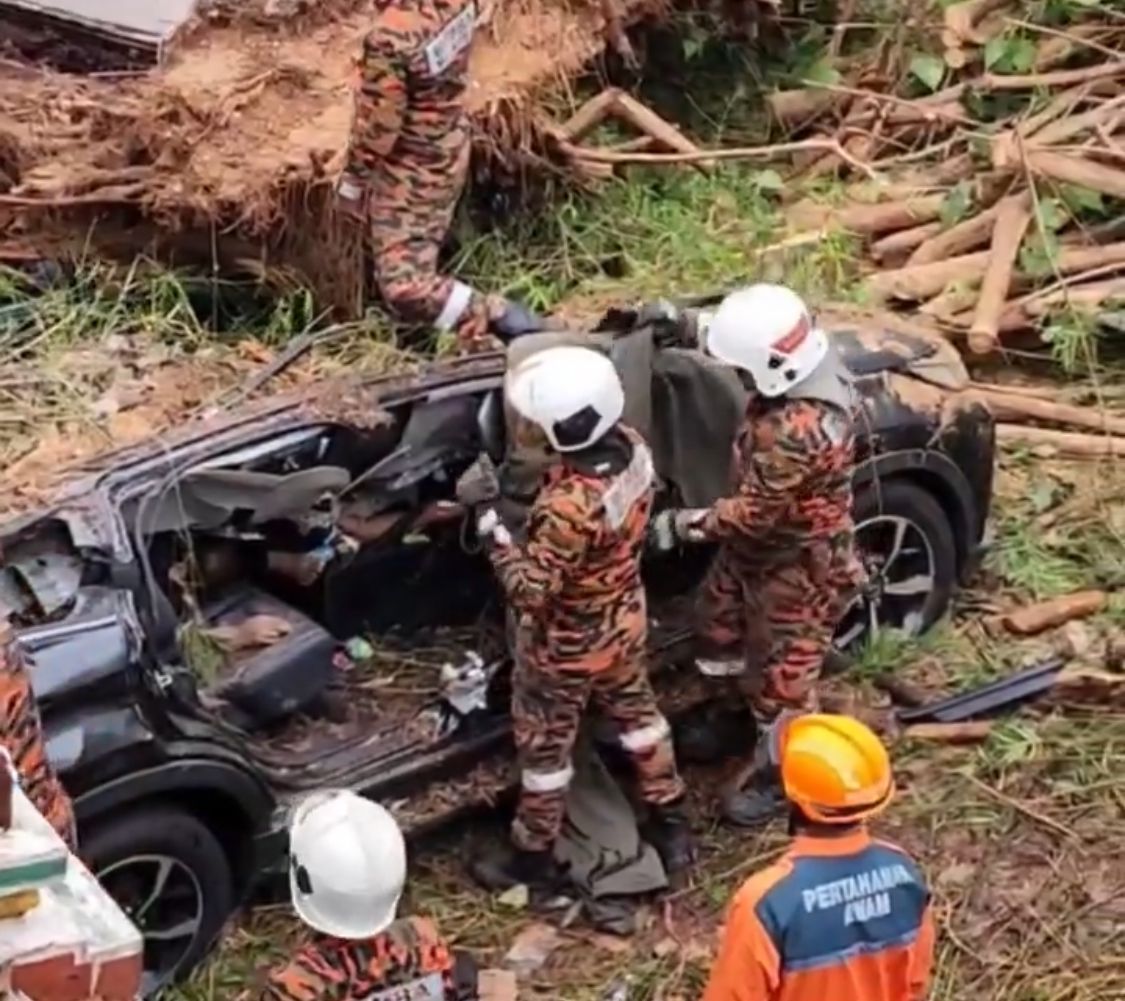 Two Chinese Tourists Killed After Tree Falls on Car in Penang, Malaysia ...