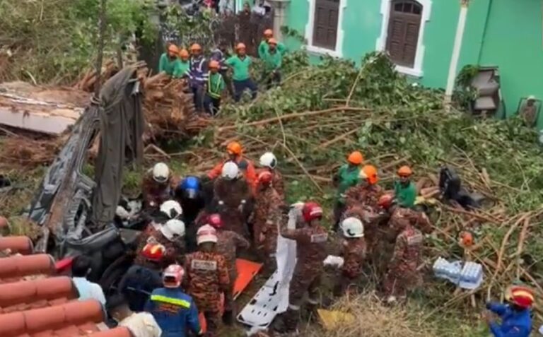 Two Chinese Tourists Killed After Tree Falls on Car in Penang, Malaysia ...