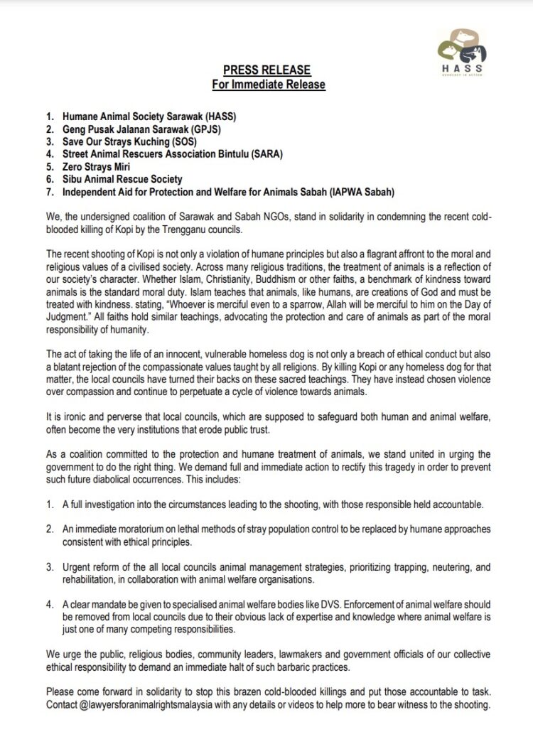 Justice for Kopi: Malaysia Outraged After Beloved Stray Dog Shot by ...