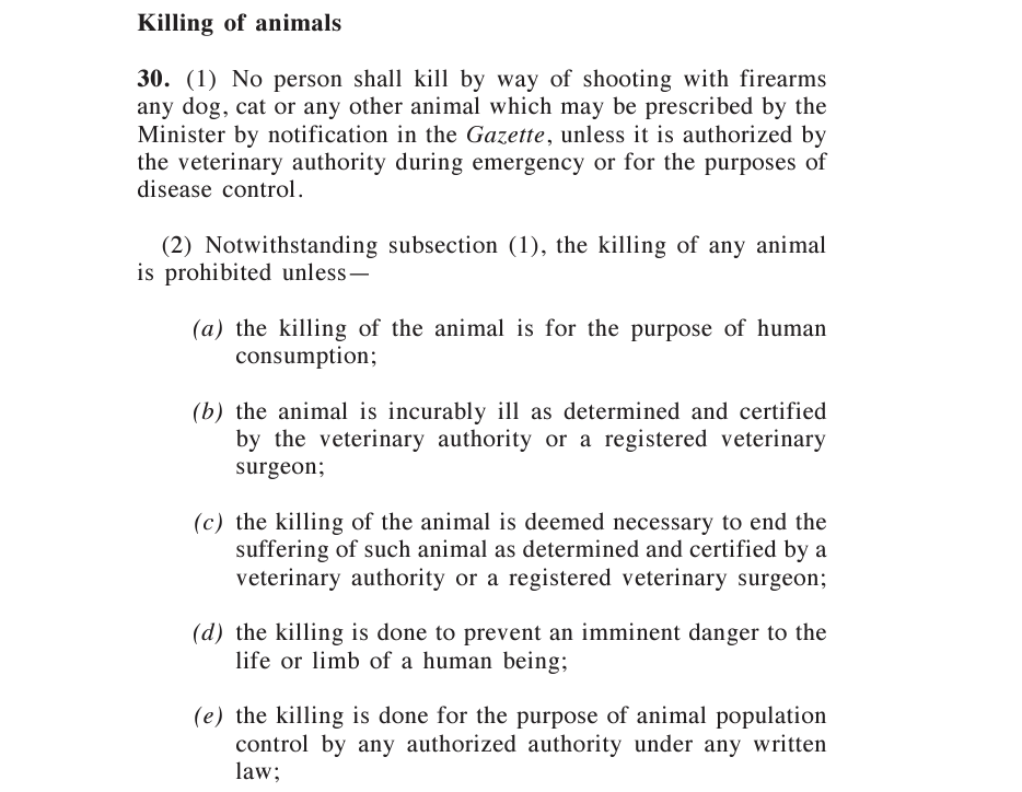 Justice for Kopi: Malaysia Outraged After Beloved Stray Dog Shot by ...