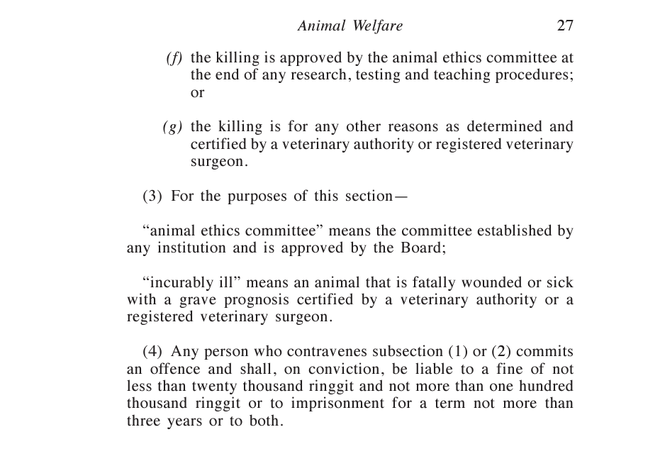 Justice for Kopi: Malaysia Outraged After Beloved Stray Dog Shot by ...