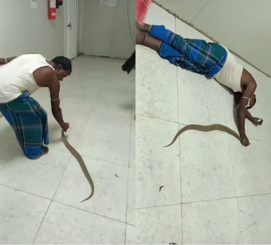 Indian Man Walks Into Hospital Holding Snake That Bit Him - Wake Up ...