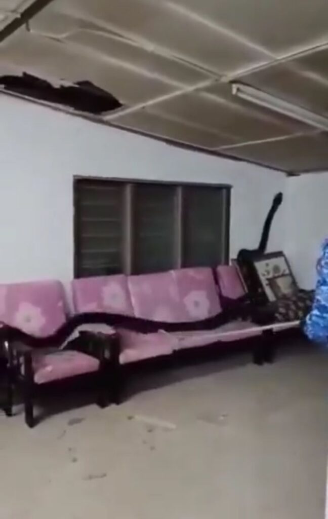 Massive Python Crashes Through Ceiling, Landing on Family Sofa in Perak ...