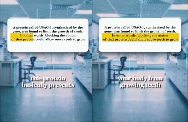 Japanese Biotech Firm Unveils Drug to Regrow Teeth - Wake Up Singapore