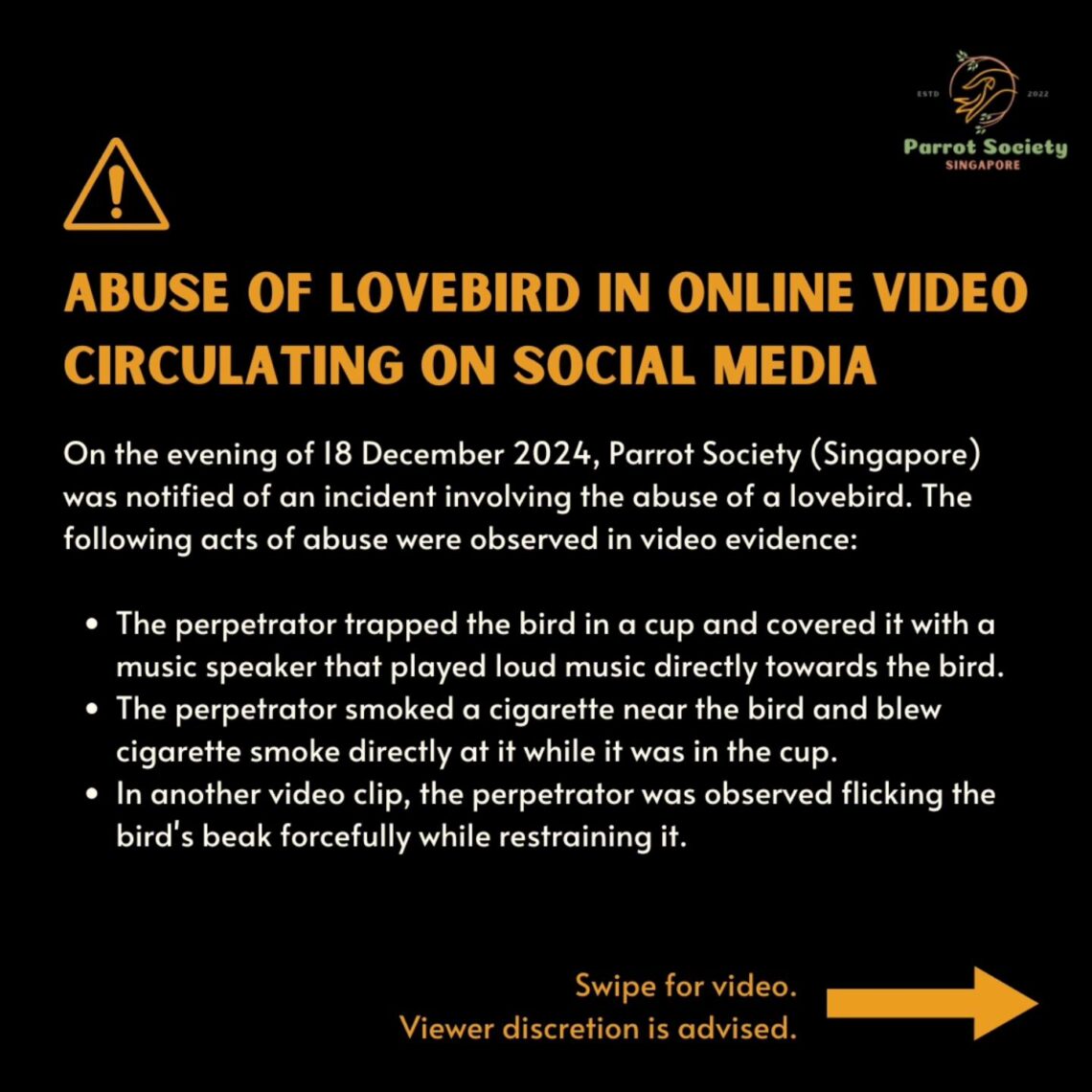 "Please save the innocent parrot!" - Man abuses lovebird in livestream ...