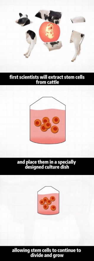 3D-Printed Meat: A Sustainable and Ethical Revolution - Wake Up Singapore