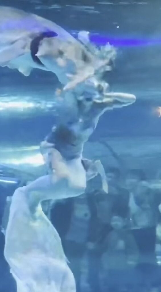 Giant Fish Attacks ‘Mermaid’ Performer at Aquarium Before Shocked Crowd ...