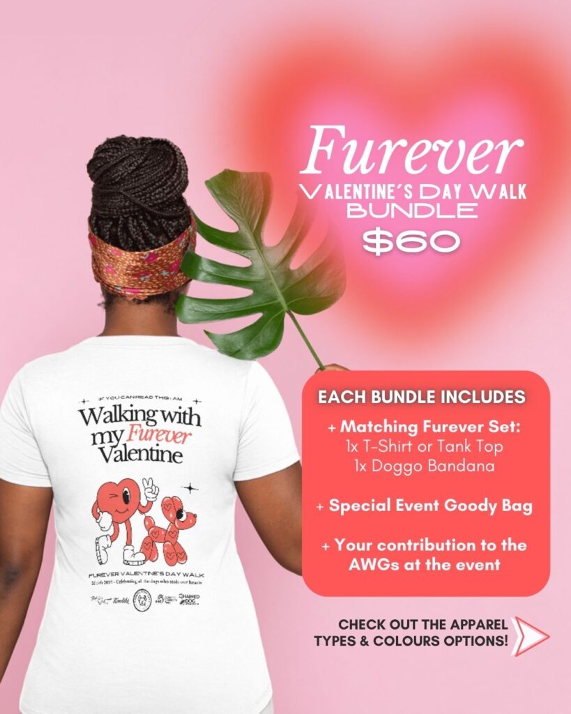 Singapore’s First Furever Valentine’s Day Walk to Celebrate the Bond ...
