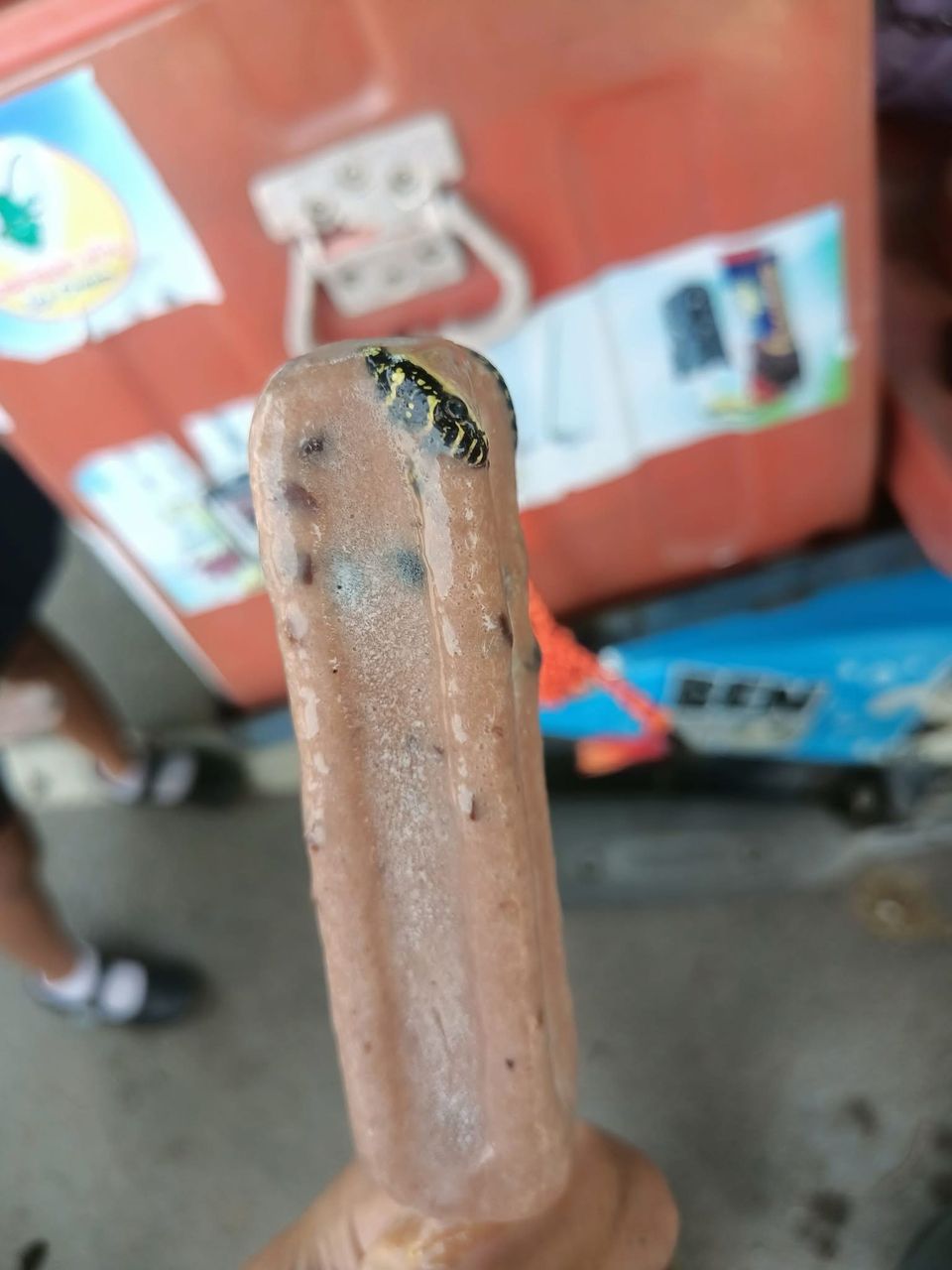 Thai Man Buys Ice Pop, Finds Frozen Snake Inside; Netizens Joke About the Discovery - Wake Up ...