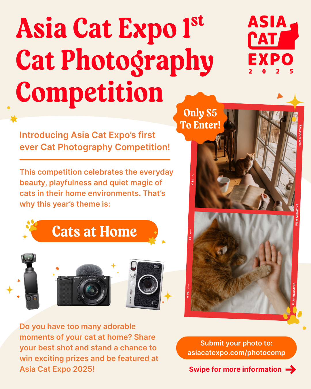 Asia Cat Expo is Back: The Largest Cat-Exclusive Event in Singapore for ...