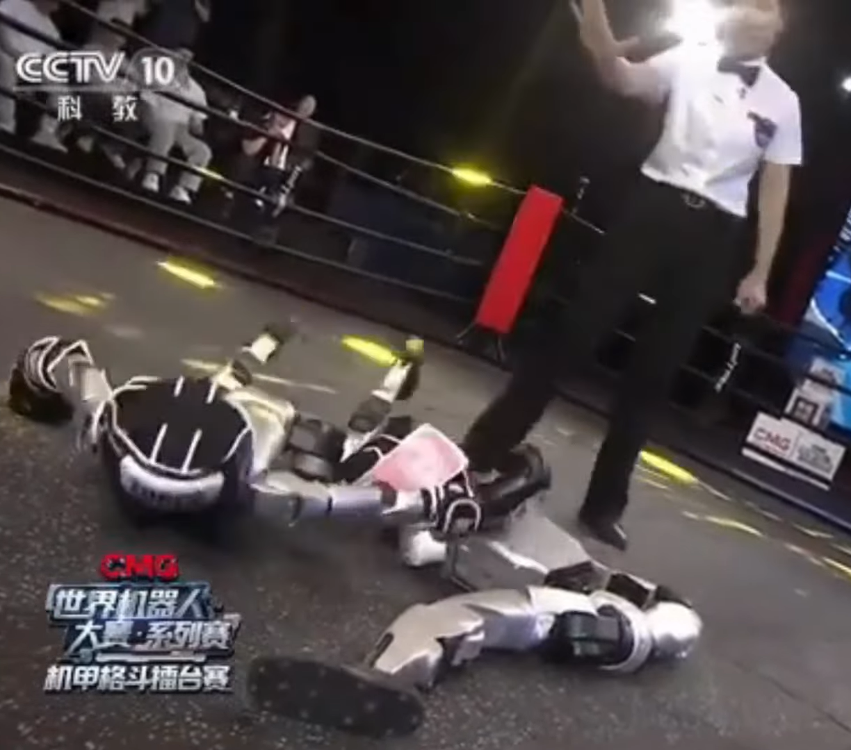 China Debuts First Robot Kickboxing Tournament Featuring Remote ...