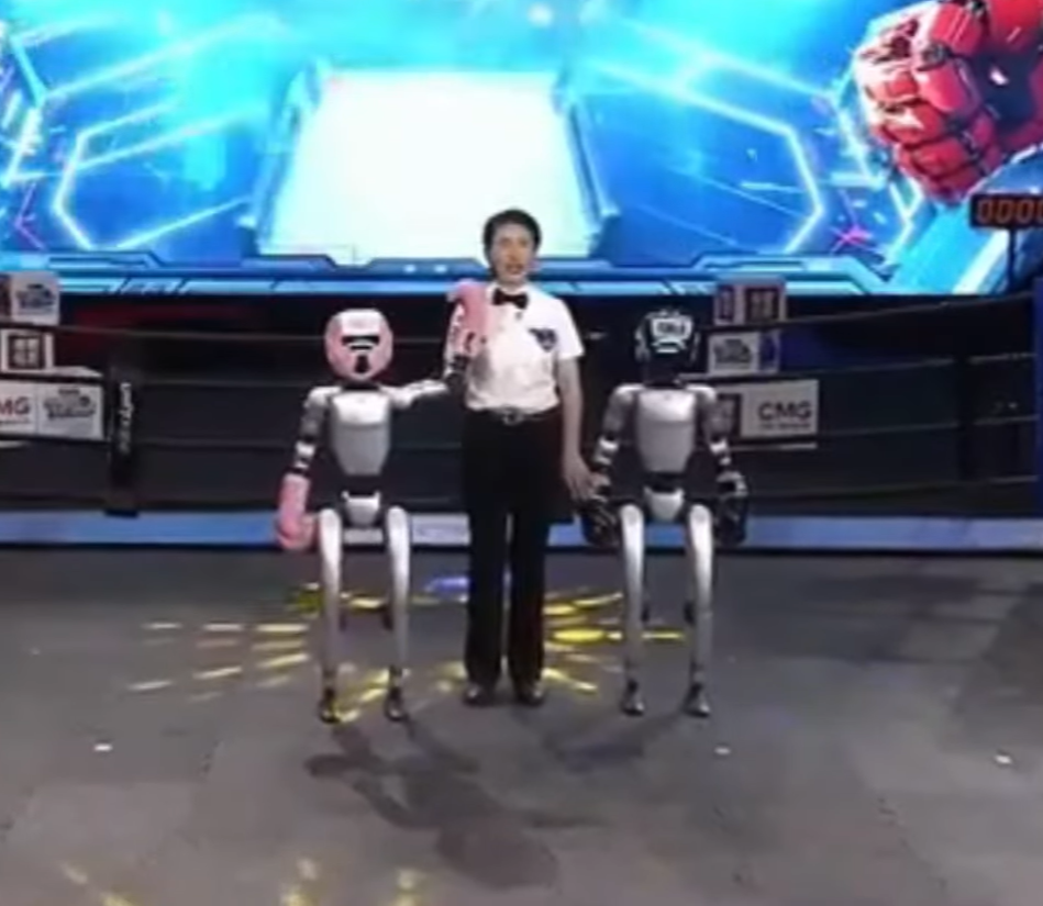 China Debuts First Robot Kickboxing Tournament Featuring Remote ...