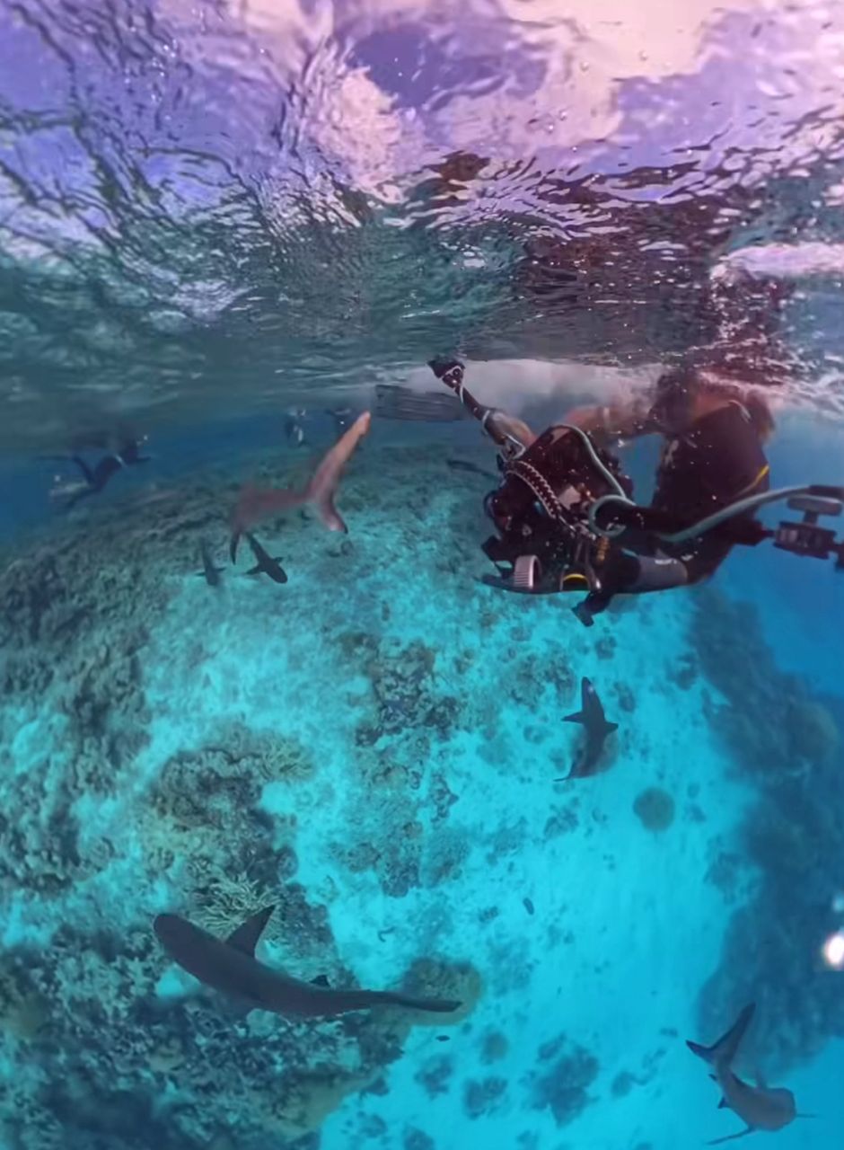 Close Call: Diver Swarmed by Sharks While Filming in Australia’s Coral ...