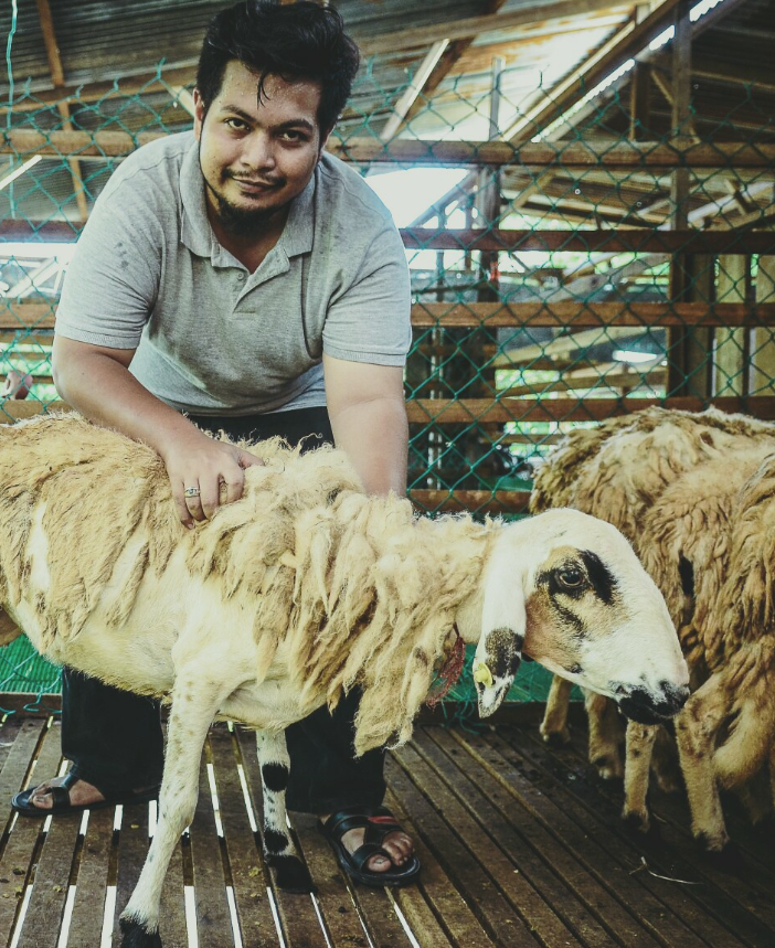 The Shepherd CEO: How a Singaporean Built a S$43M Farm Network From His ...