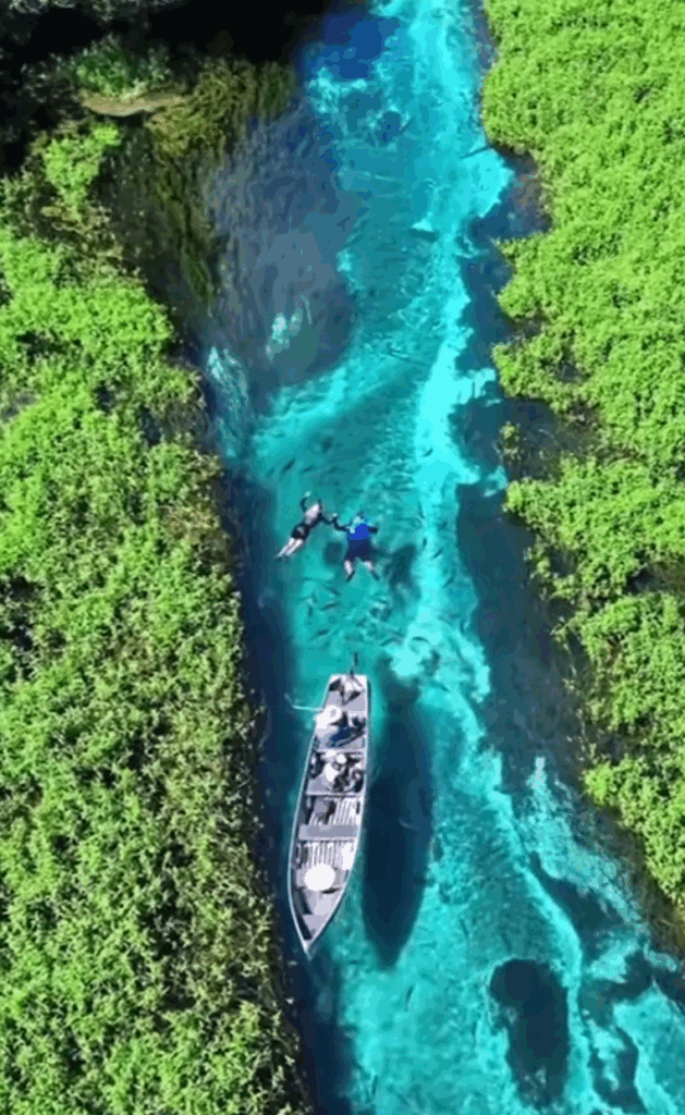 Brazil’s Sucuri River: A Transparent Snorkeling Haven in the Wild ...