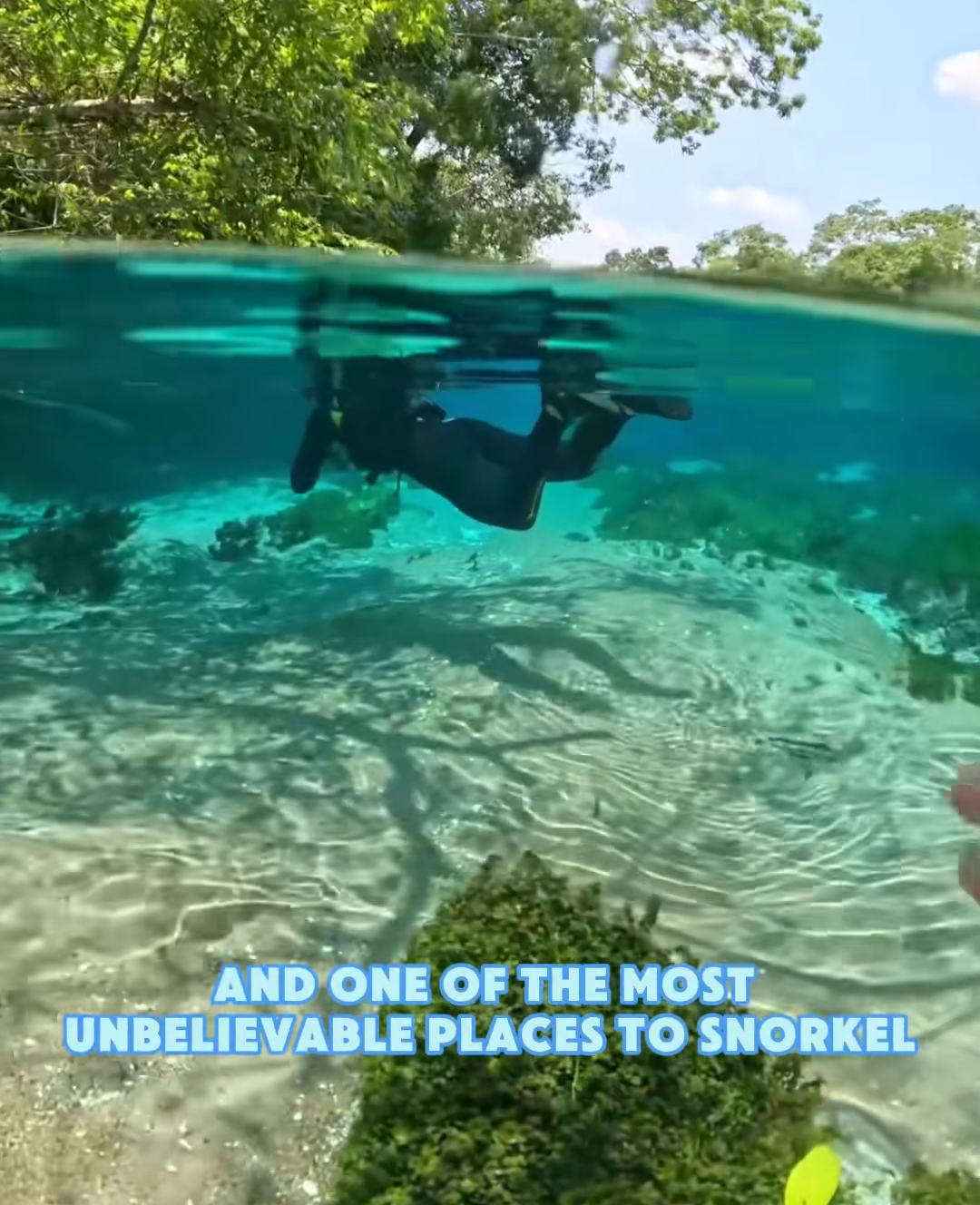 Brazil’s Sucuri River: A Transparent Snorkeling Haven in the Wild ...