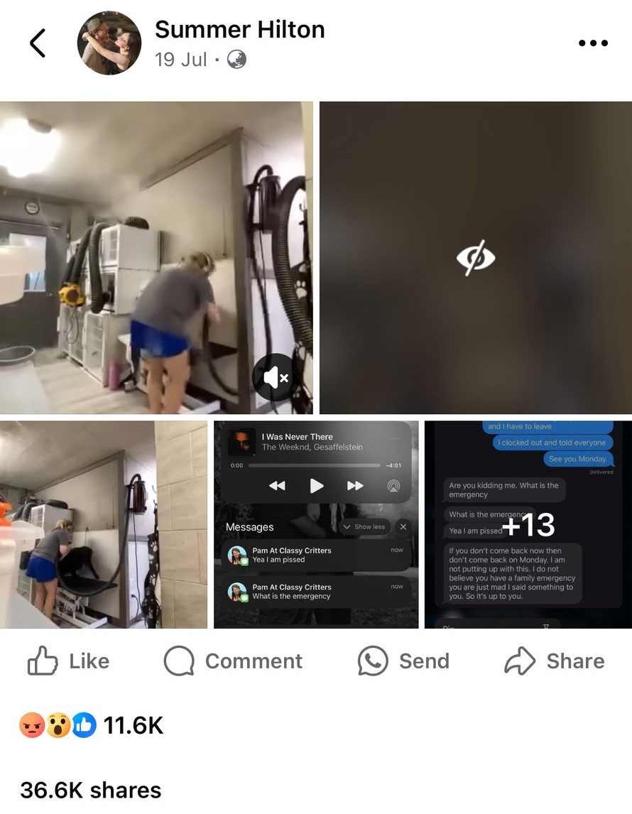 Woman Arrested and Charged With Animal Cruelty After Grooming Abuse ...