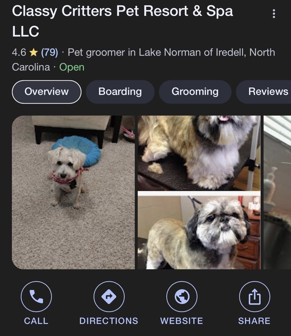 Woman Arrested and Charged With Animal Cruelty After Grooming Abuse ...