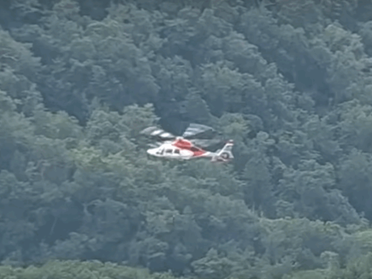 Man, 26, Killed in Bear Attack on Mount Rausu in Japan - Wake Up Singapore
