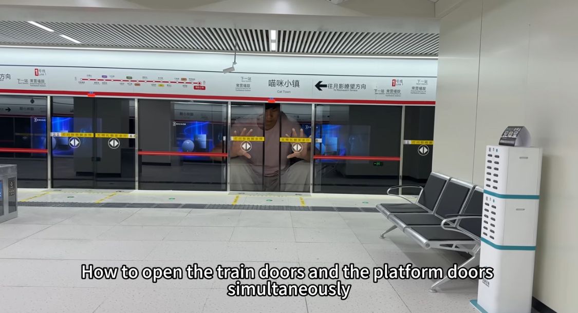 Dedication on Display: Pet Owner in China Builds Subway Station for His ...