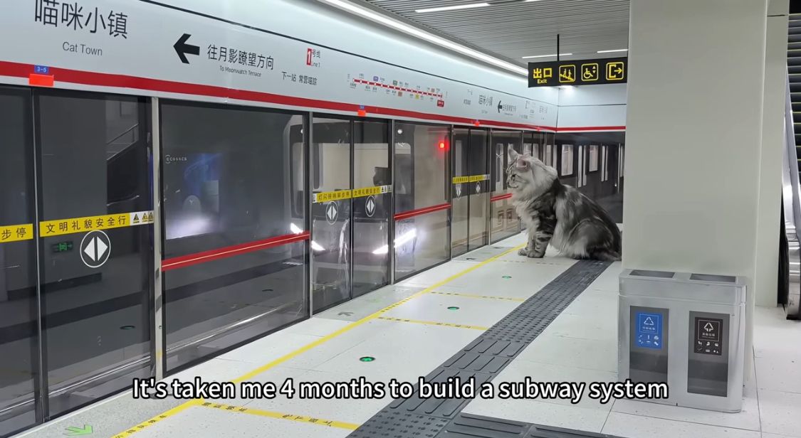 Dedication on Display: Pet Owner in China Builds Subway Station for His ...