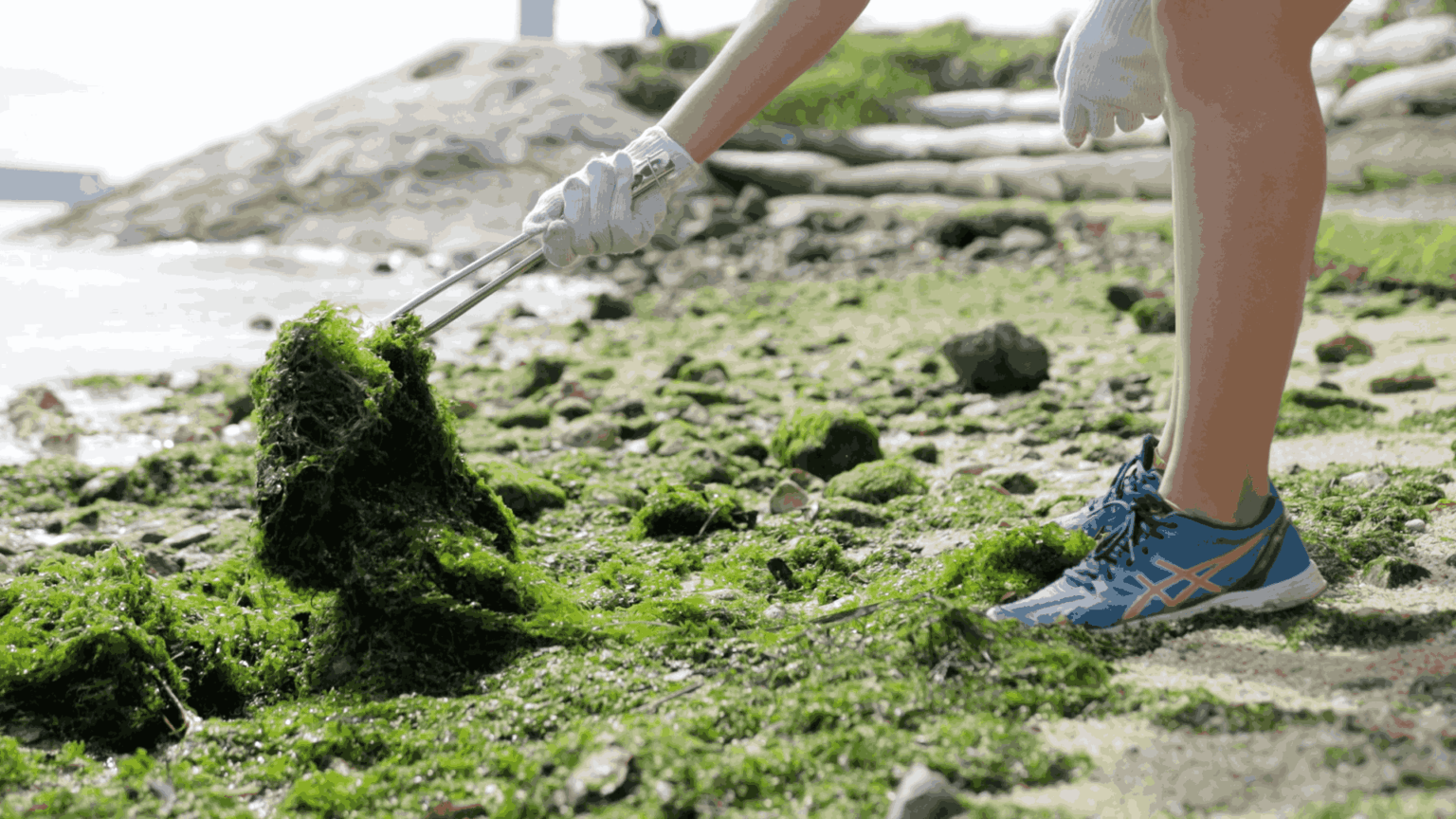 Ocean Purpose Project Launches Hands-On Hackathon Series for Singapore ...