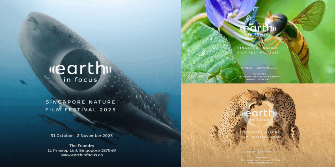 DOMO Modern Japanese: Chef Rose Ang's Unique Japanese-European Culinary ...