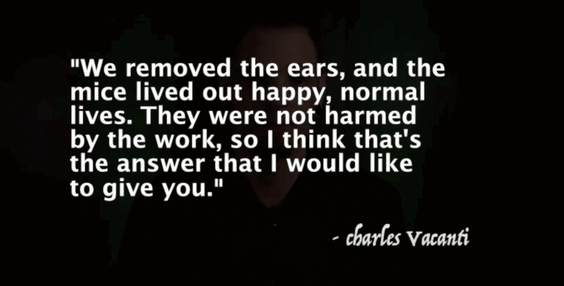 Remember the Human-Ear Mouse? How This Shocking Experiment Affected ...