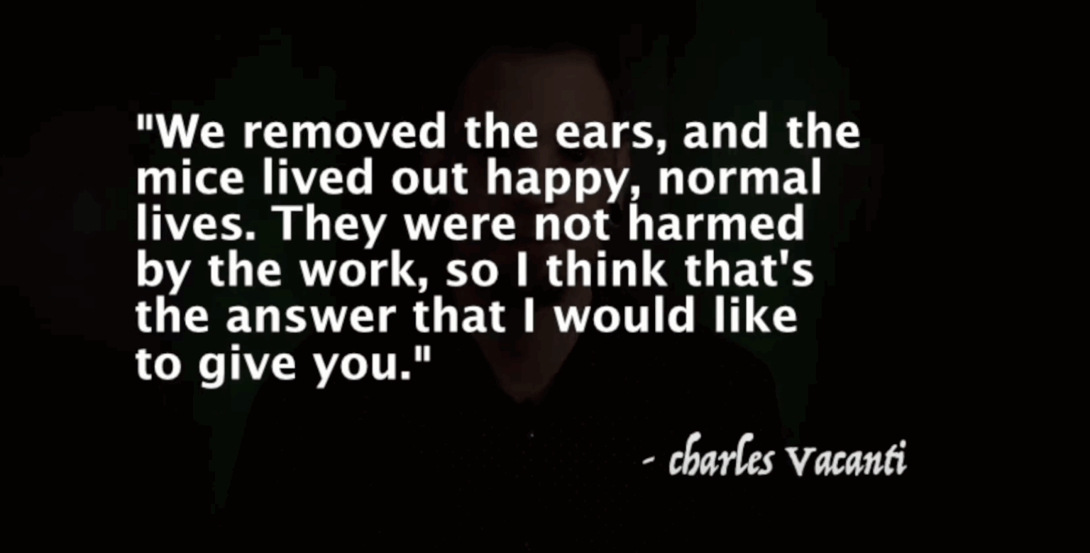 Remember the Human-Ear Mouse? How This Shocking Experiment Affected ...
