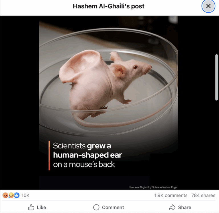 Remember the Human-Ear Mouse? How This Shocking Experiment Affected ...