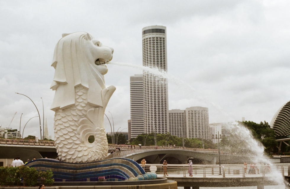 Lion Dance Envigorates Wedding Stage: Pink Lions Dance at a Singapore ...