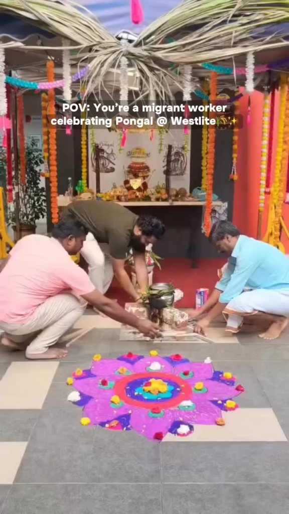 Happy Pongal!: Heartlands, Dormitories and Homes Celebrate Harvest ...