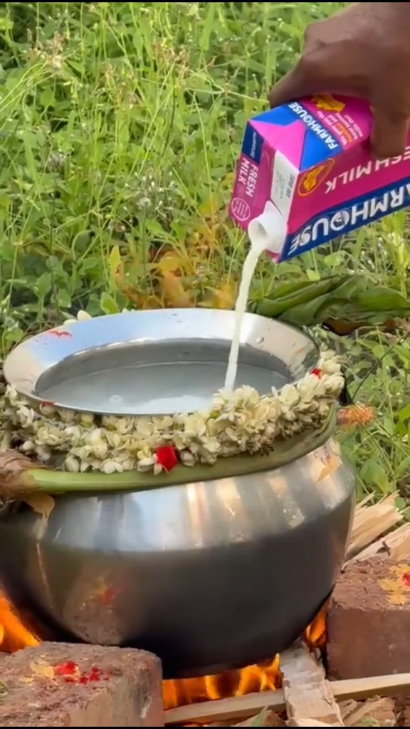 Happy Pongal!: Heartlands, Dormitories and Homes Celebrate Harvest ...